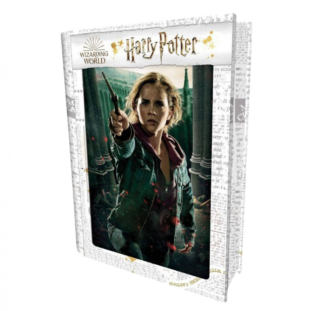 Réfléxion Puzzle Prime 3D - Harry Potter - Hermione 300 PCS Boîte Méta